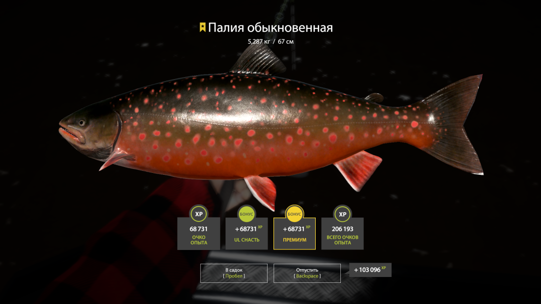 俄罗斯钓鱼4拉多加湖群岛 E2 27m 自沉 黑口红点鲑_俄罗斯钓鱼4wiki|GameKee